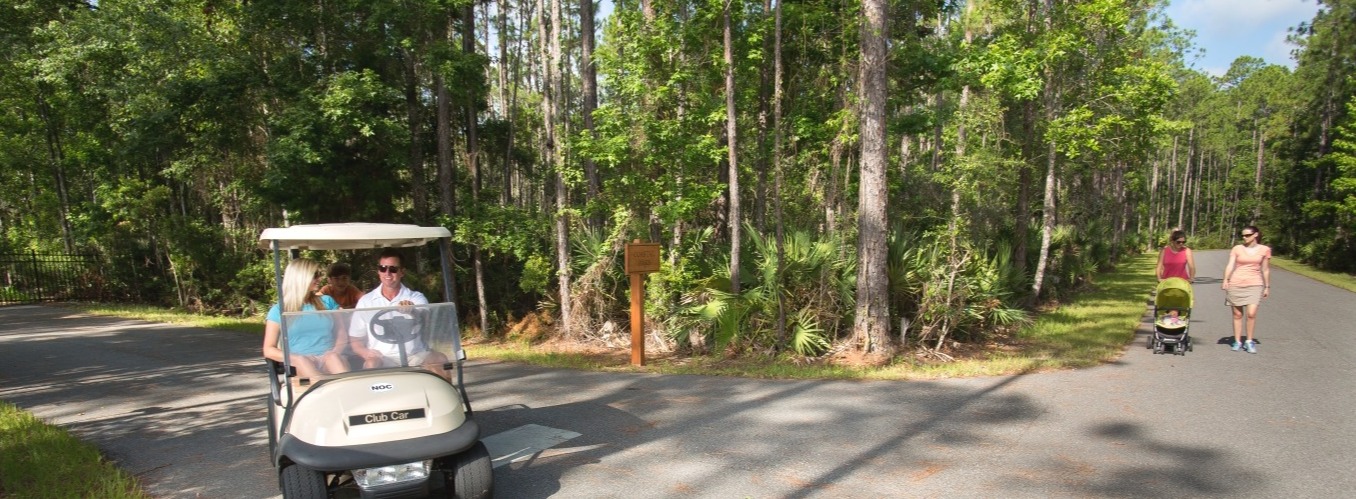 Exploring Nocatee: The Ultimate Guide to NocaTours